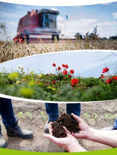 News | FABulous Farmers - Flyer FABulous Farmers - Farmers increase the ...
