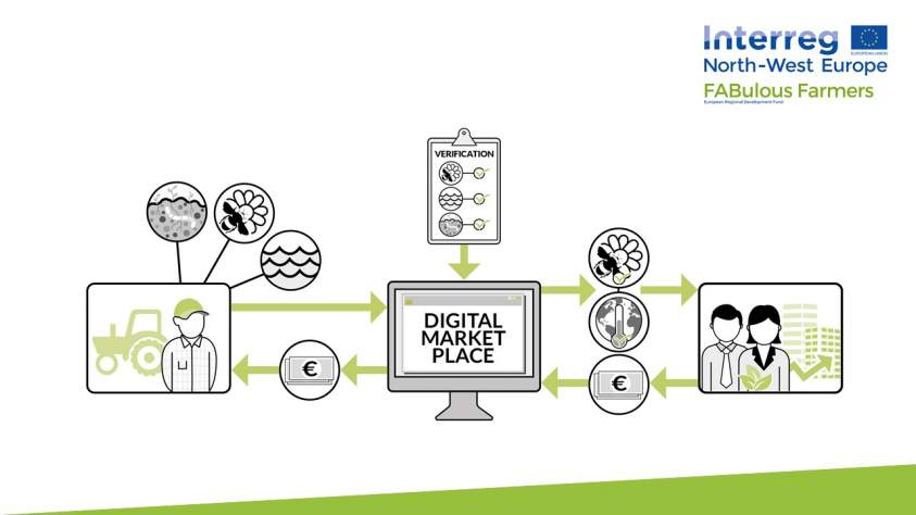 Marketplace | Fabulous Farmers